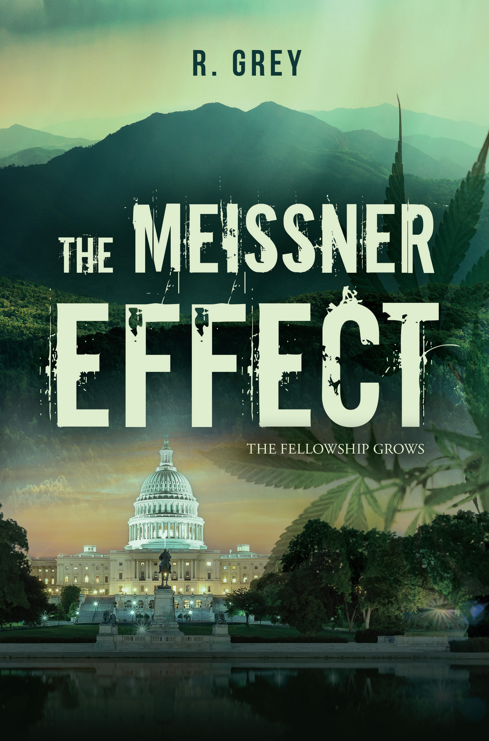Meissner Effect | The Meissner Effect